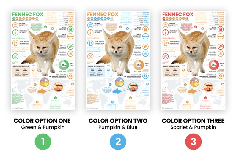 Fennec Fox Poster | Wildlife Animal Infographic | Conservation ...