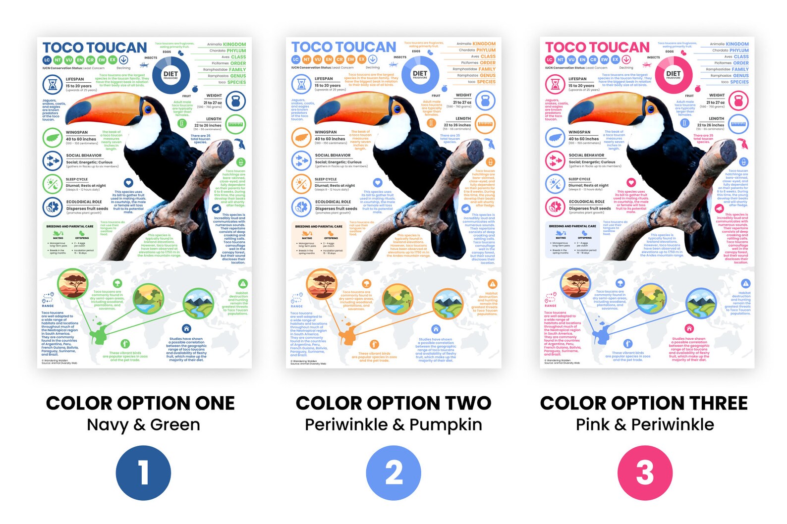 Toco Toucan Poster | Toucan Animal Infographic | Conservation Education ...
