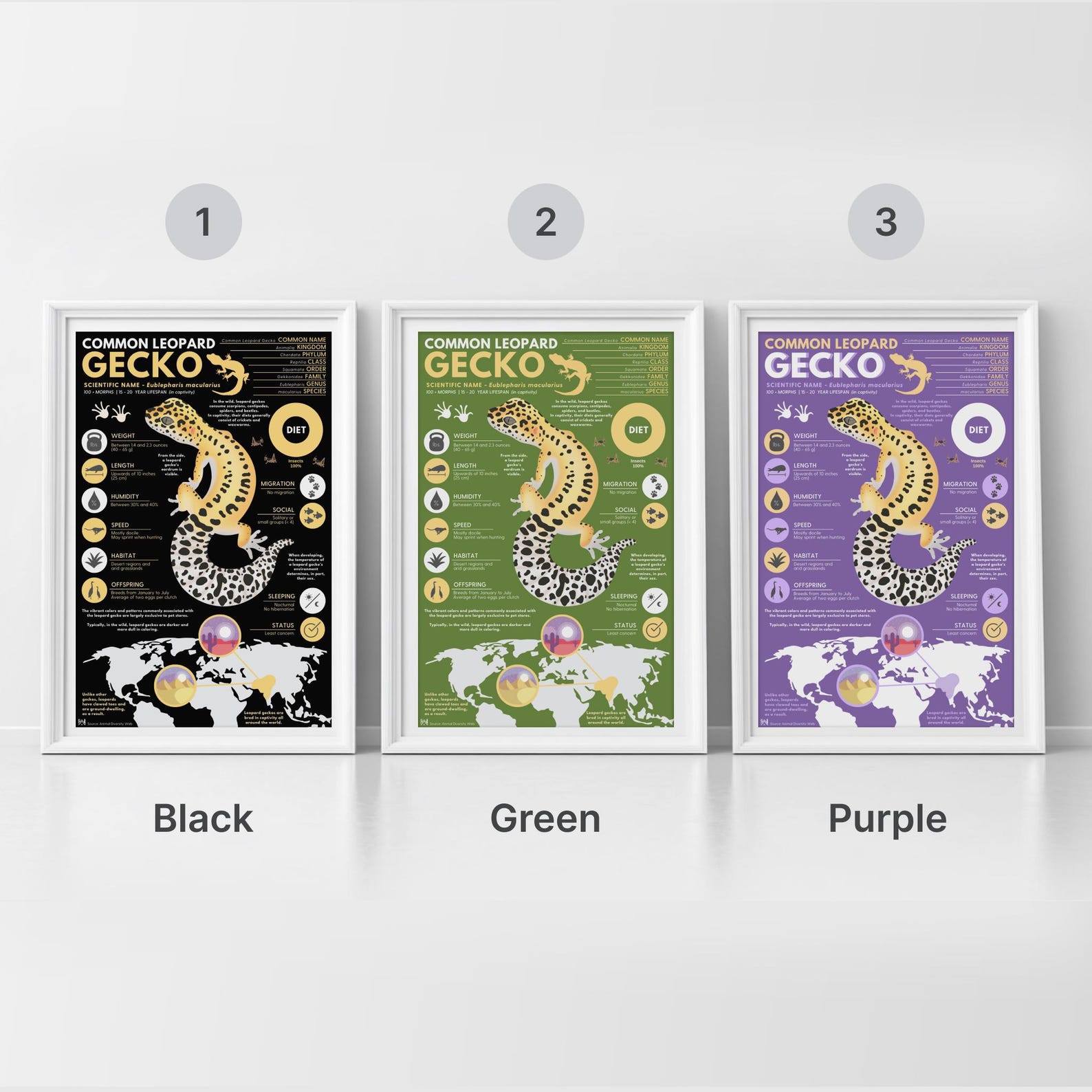 Leopard Gecko Poster | 11" X 17" Animal Infographic Print - Etsy