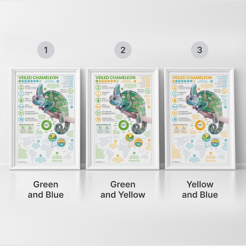 Veiled Chameleon Poster | 11" X 17" Animal Infographic Print - Etsy