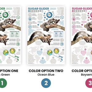 Sugar Glider Poster | Animal Infographic | Conservation Education (11 ...