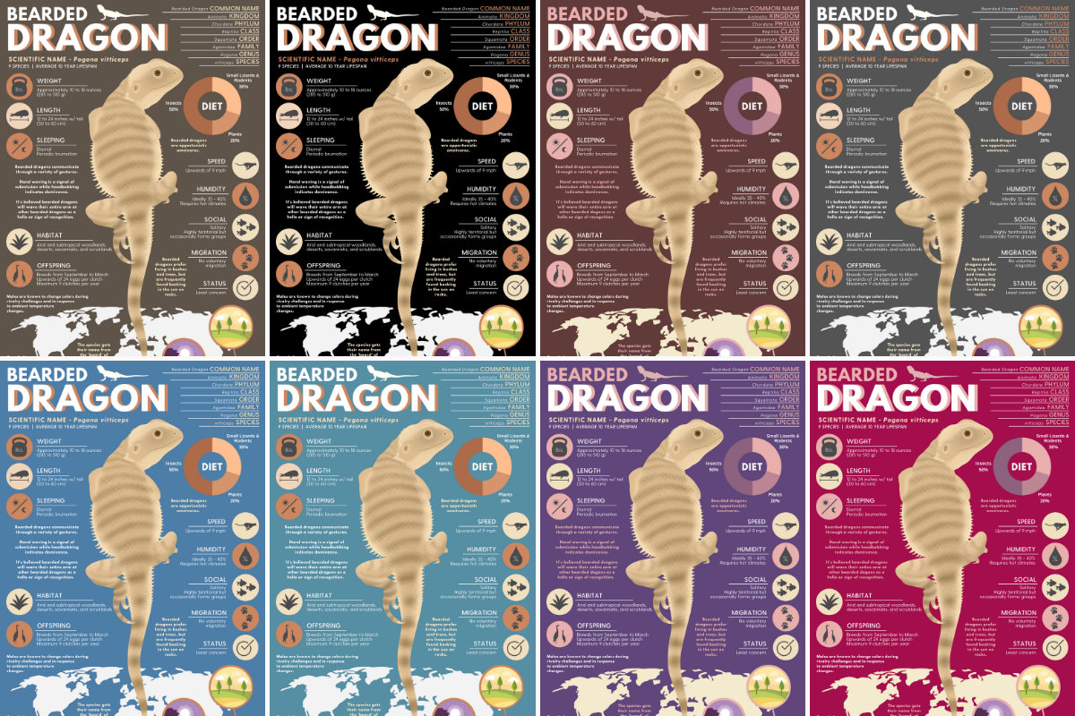 Bearded Dragon Print | Animal Infographic Poster Ft. Original Digital ...