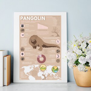 Ground Pangolin Print | Exotic Animal Infographic Poster Ft. Original ...