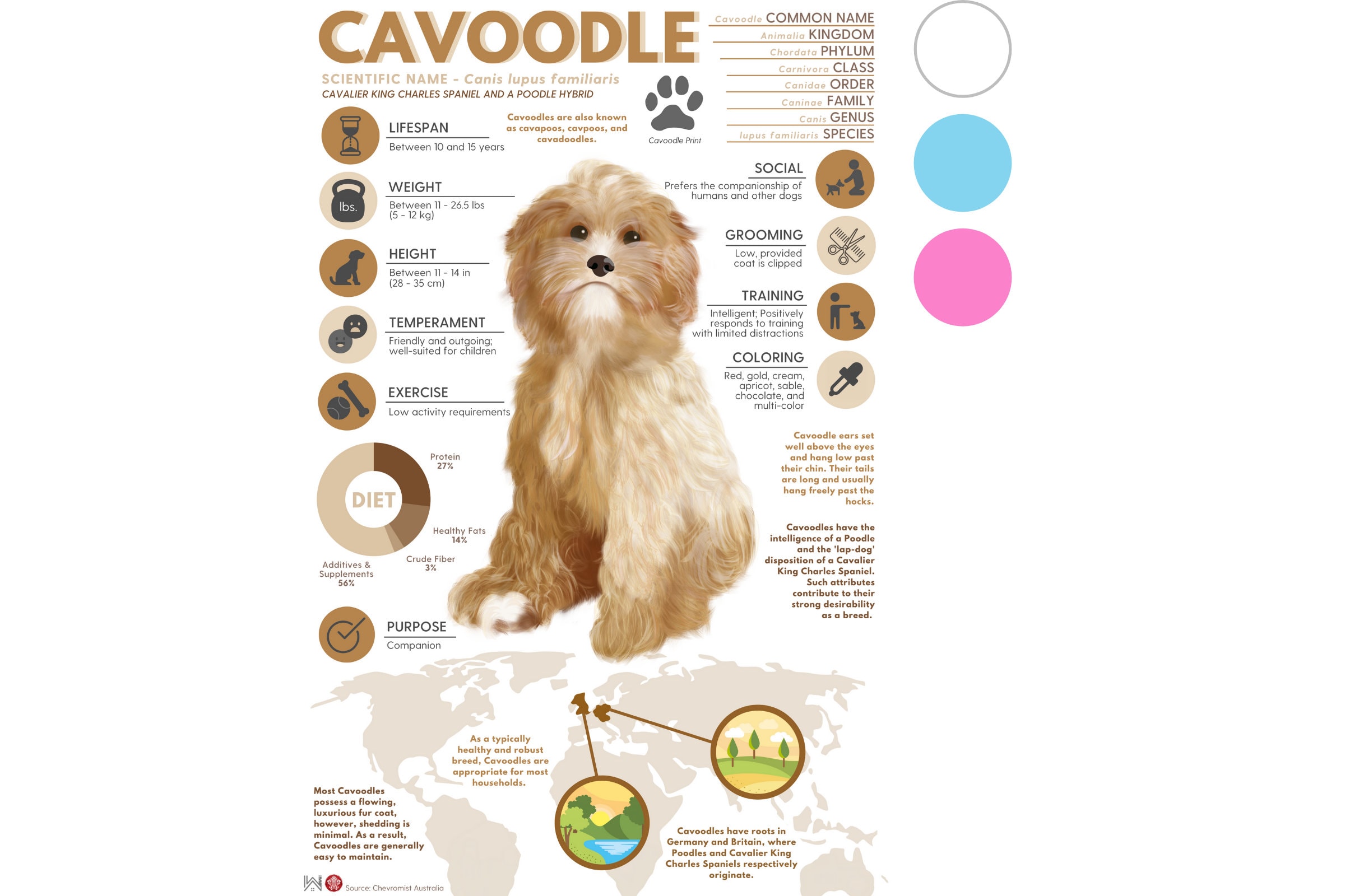 What Is The Genus And Species Of A Dog