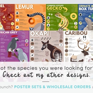 Manta Ray Print | Exotic Animal Infographic Poster Ft. Original Digital ...