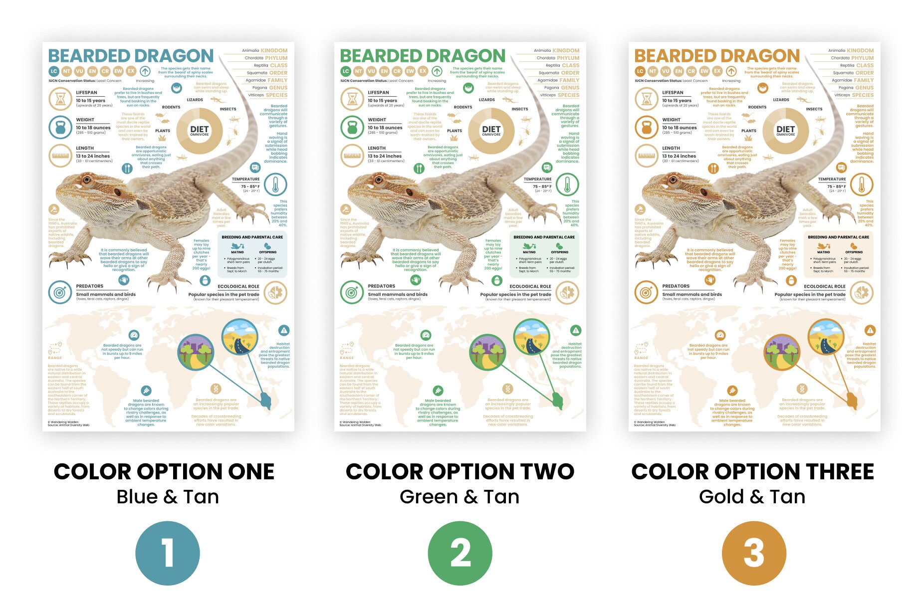 Bearded Dragon Poster Reptile Print Wildlife Animal - Etsy