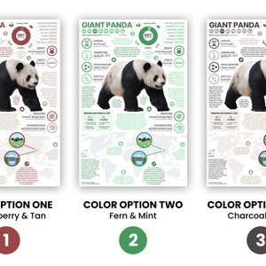 Giant Panda Poster | Wildlife Animal Infographic | Conservation ...