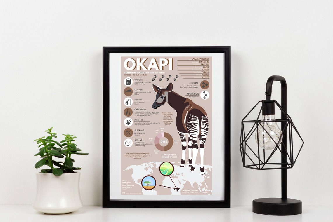 Okapi Print | Exotic Animal Infographic Poster Ft. Original Digital ...