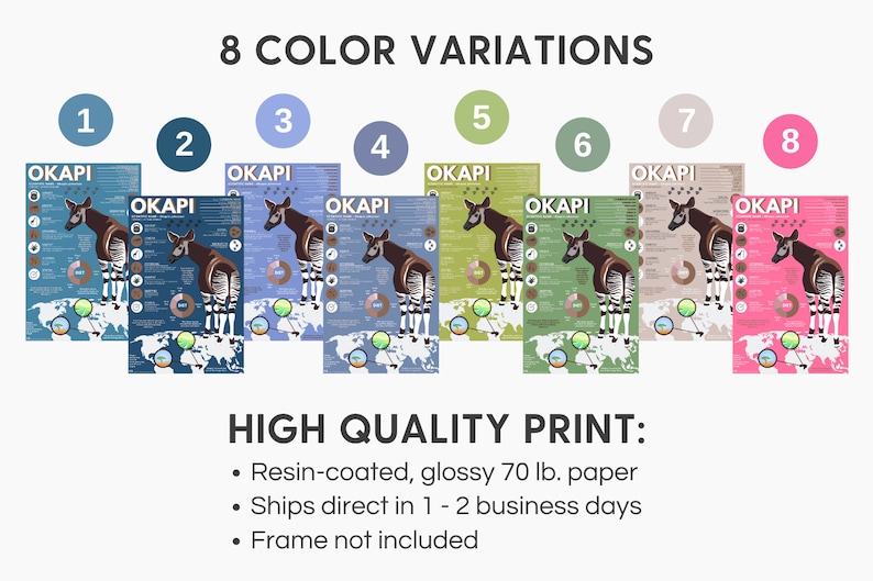 Okapi Print | Exotic Animal Infographic Poster Ft. Original Digital ...