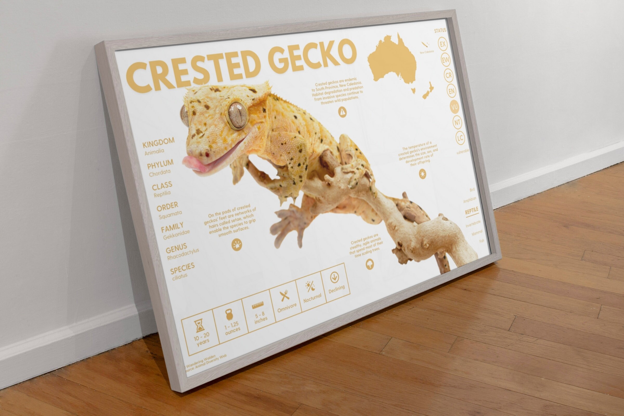 Crested Gecko Poster | Modern Wildlife Animal Infographic Print ...