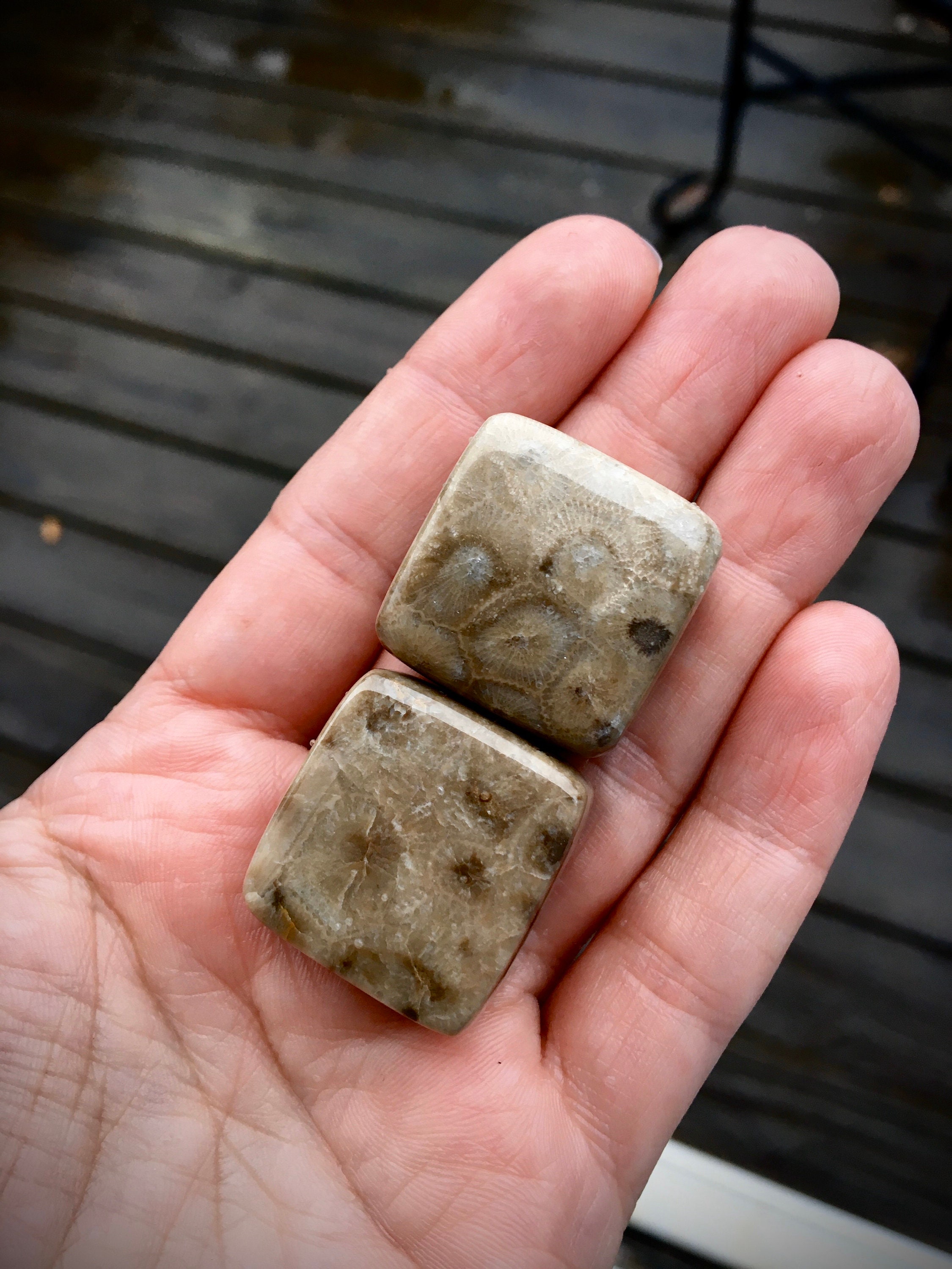 Petoskey Stone Whiskey Stones!