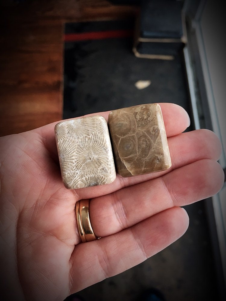 Petoskey Stone Whiskey Stones!