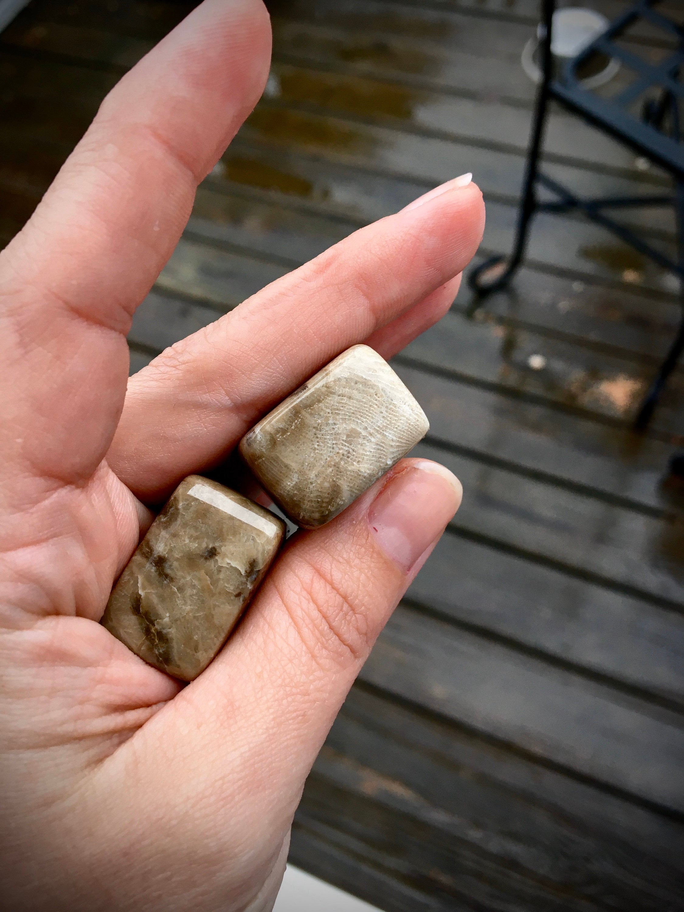 Petoskey Stone Whiskey Stones!