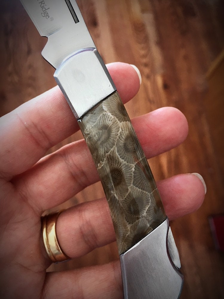 Petoskey Stone Handles