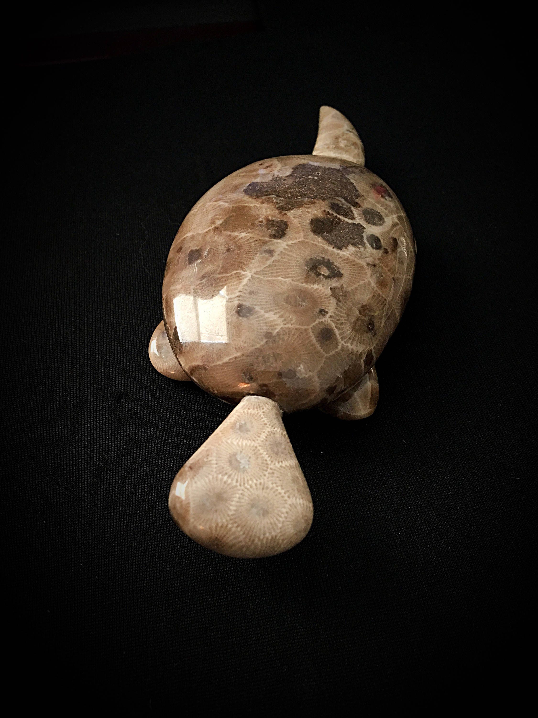 Petoskey Stone Turtle