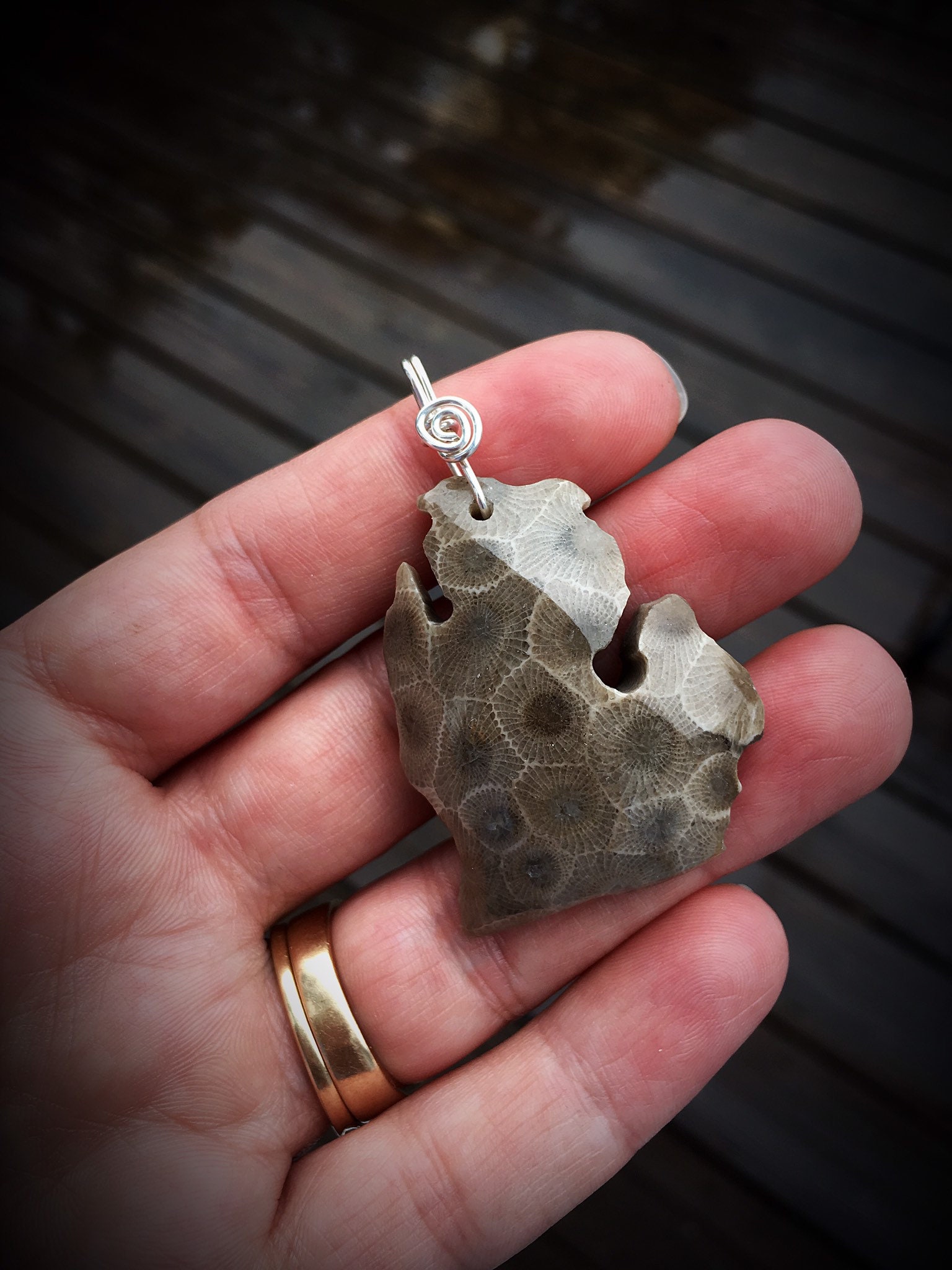 Sterling Silver Wire Wrapped Petoskey Stone Michigan Shaped Pendants!!
