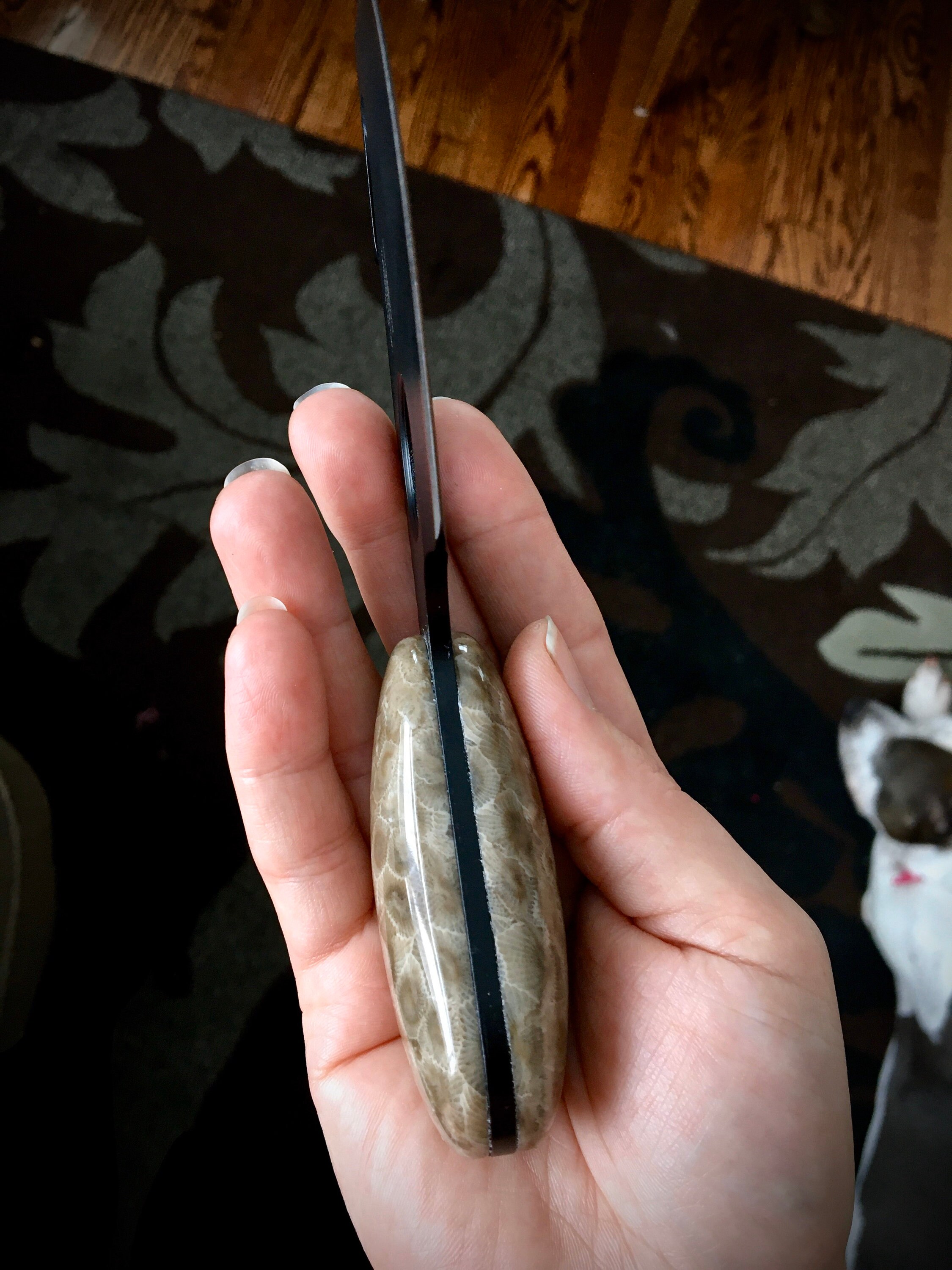Skinning Knife with Petoskey Stone Handles