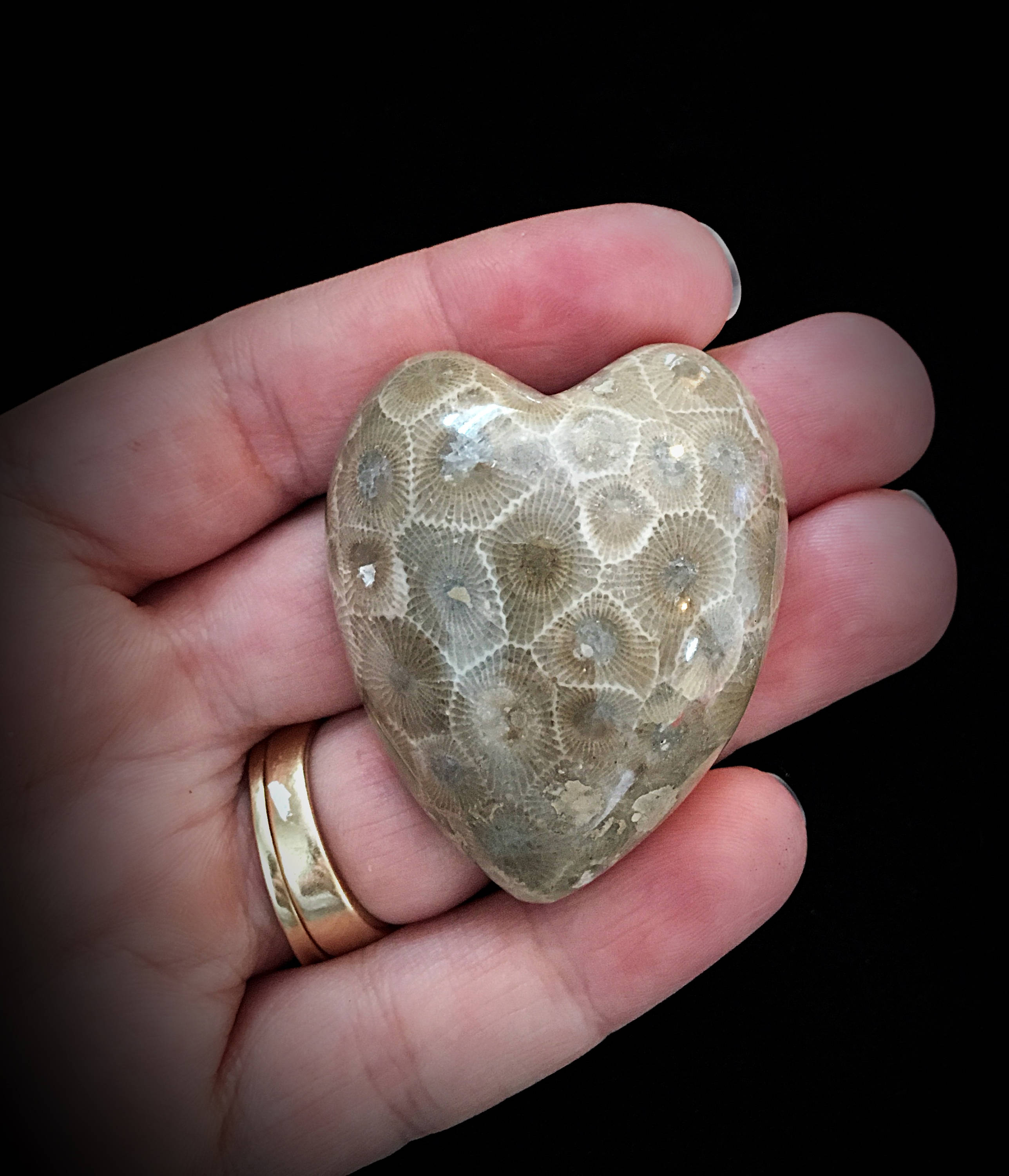 Beautifully Hand Polished Heart Shaped Petoskey Stone
