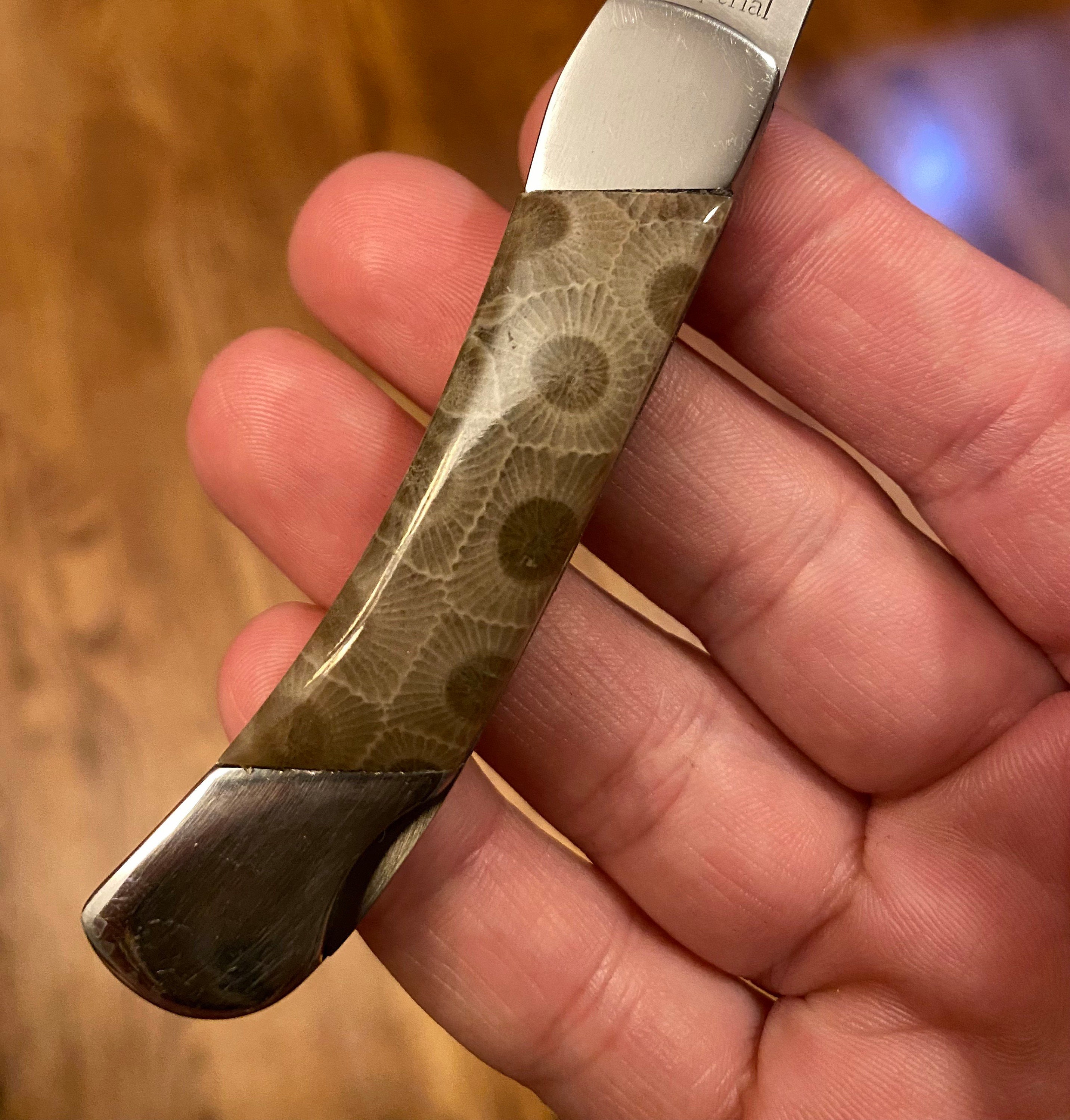 Petoskey Stone Handles