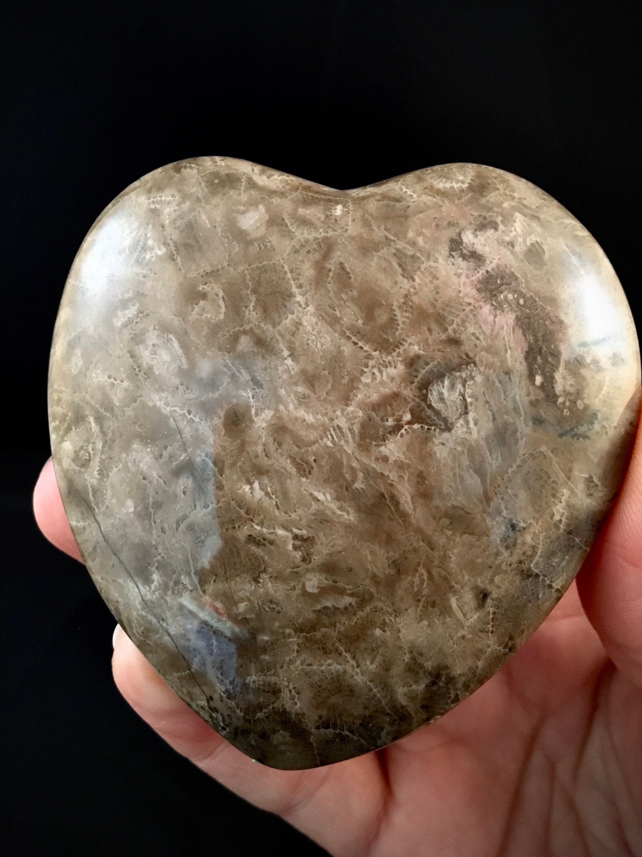 Beautifully Hand Polished Heart Shaped Petoskey Stone