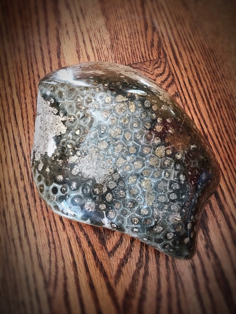 Beautifully Hand Polished Petoskey Stone (HUGE!)
