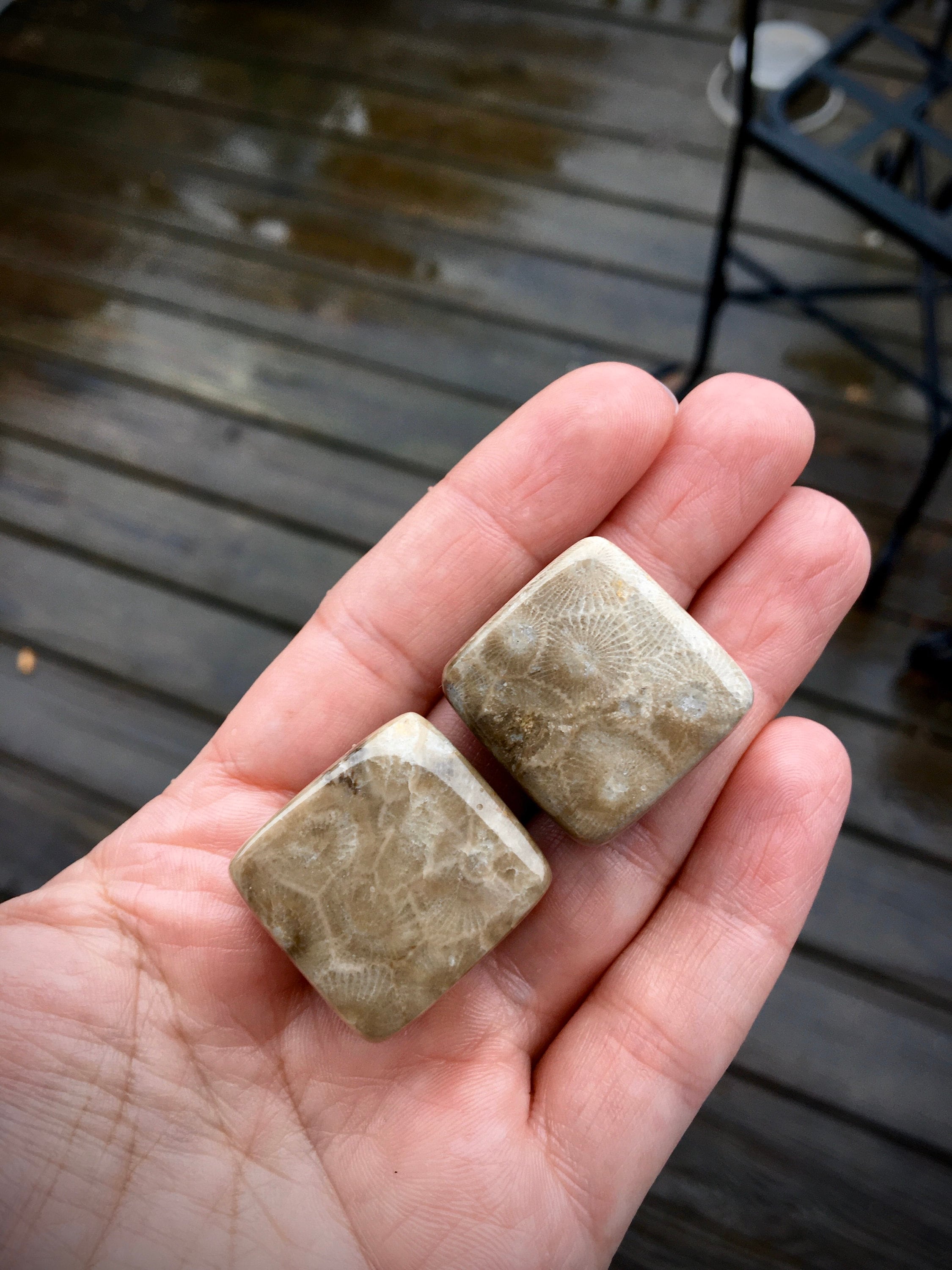 Petoskey Stone Whiskey Stones!