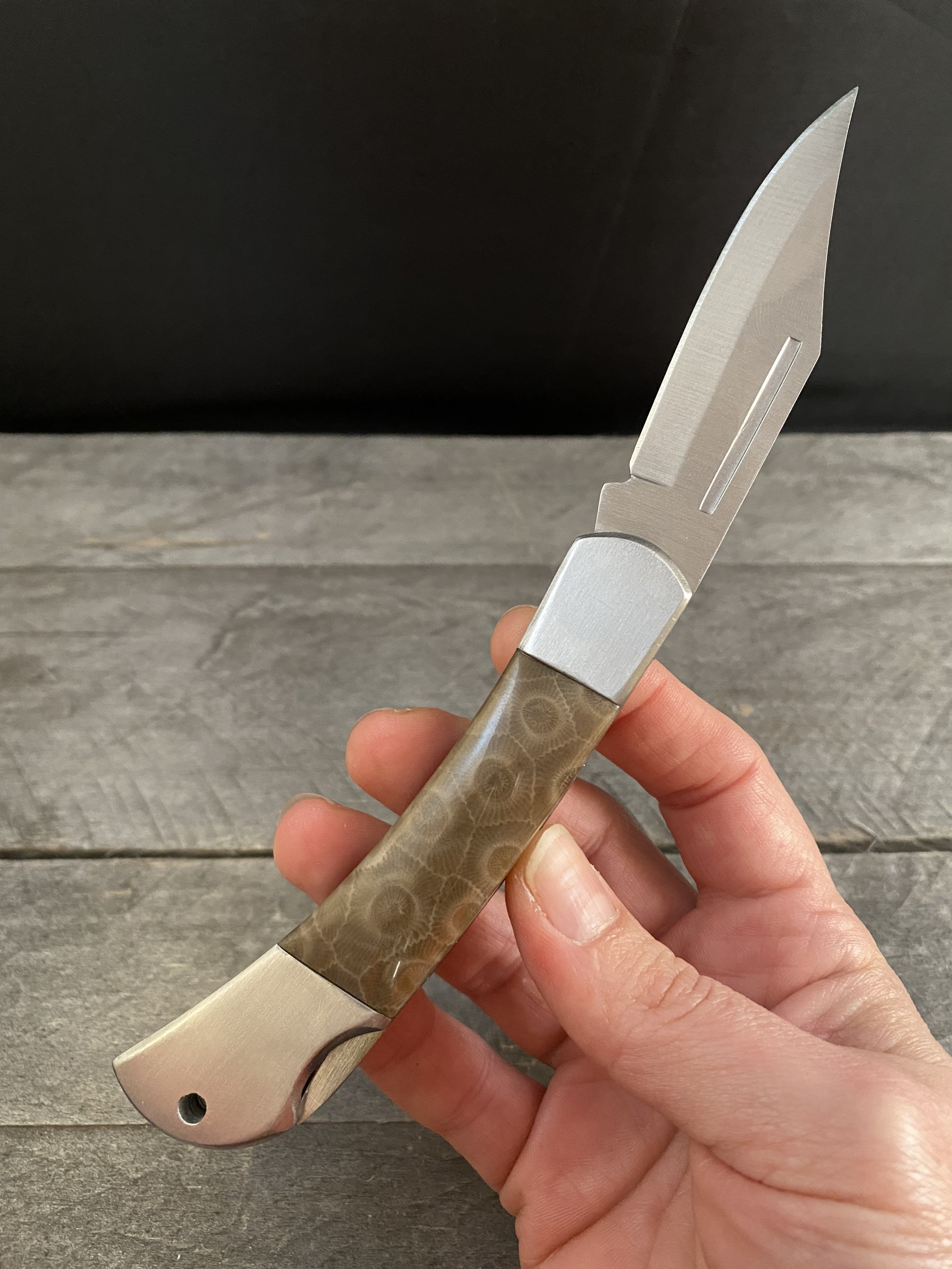 Petoskey Stone Handles