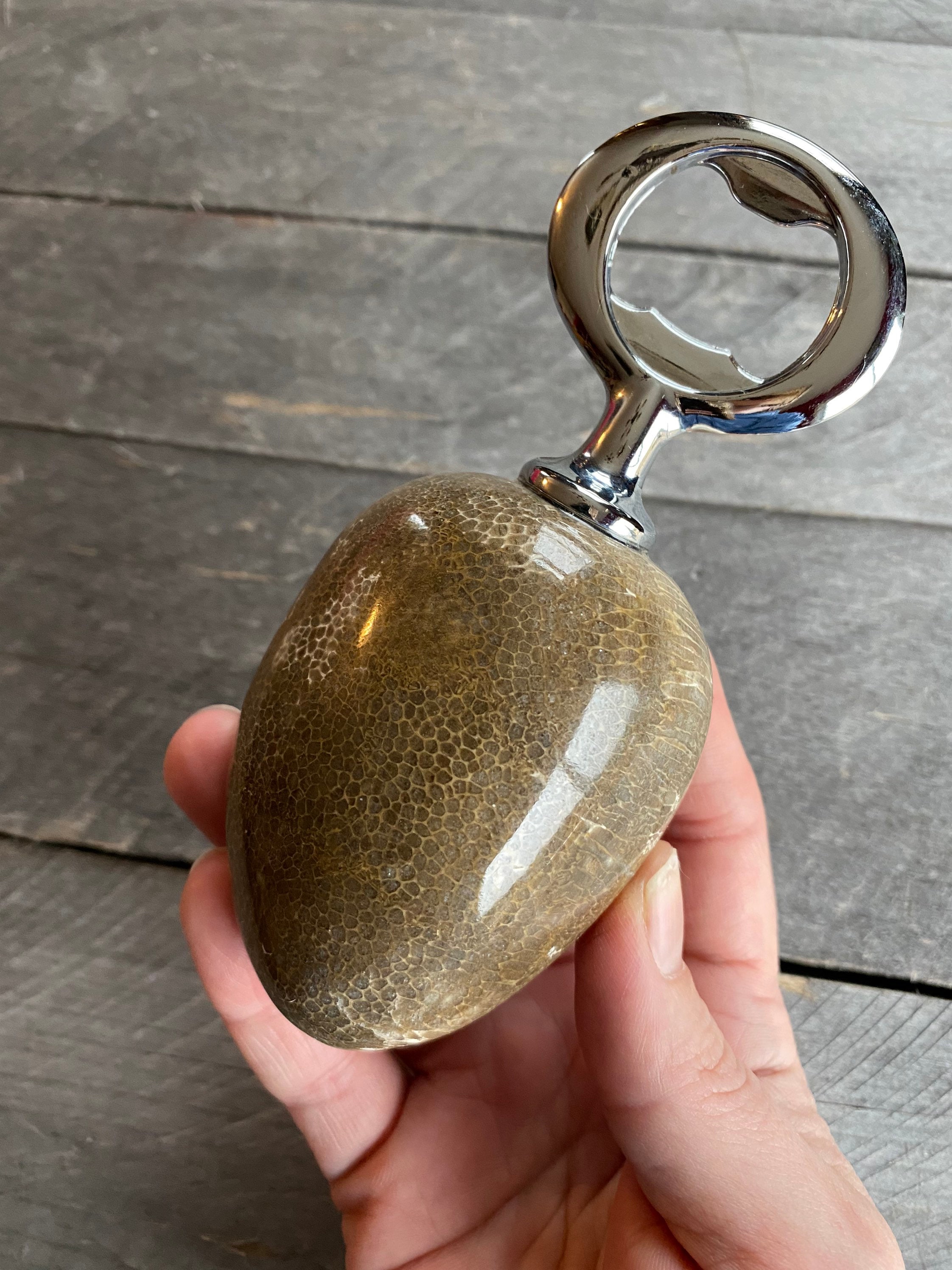 Charlevoix (Favosite) Stone Table Top Bottle Opener!!
