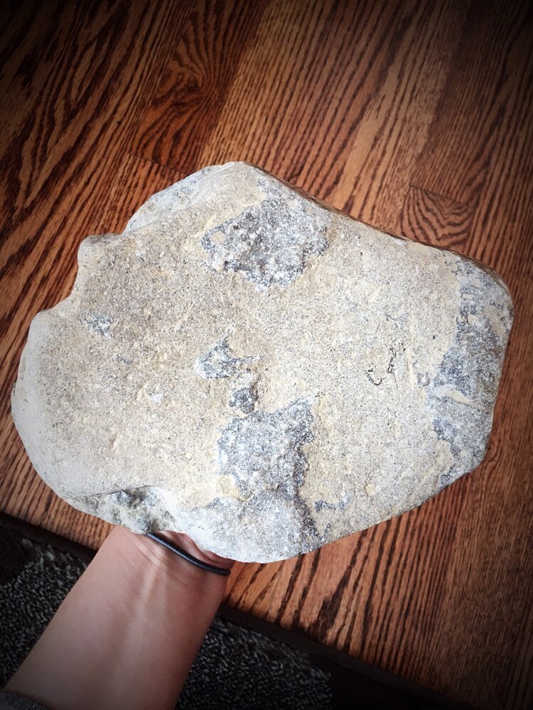 Beautifully Hand Polished Petoskey Stone (HUGE!)