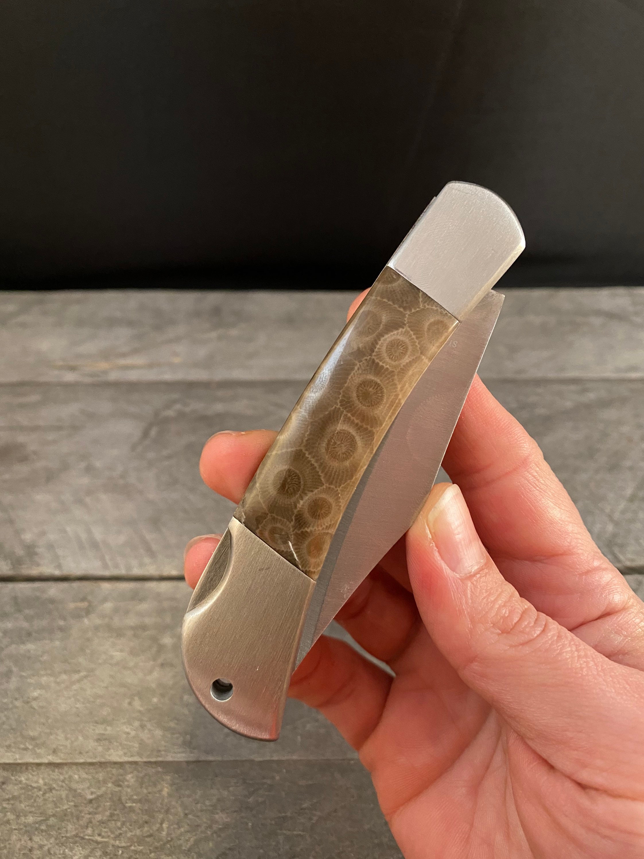 Petoskey Stone Handles