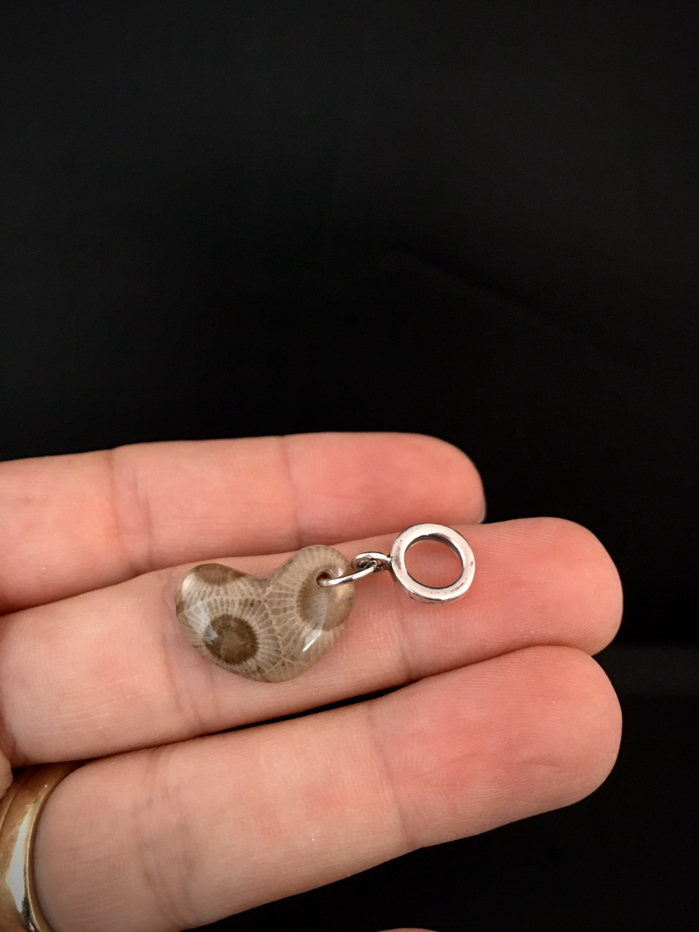 Petoskey Stone Dangle Heart Charm!