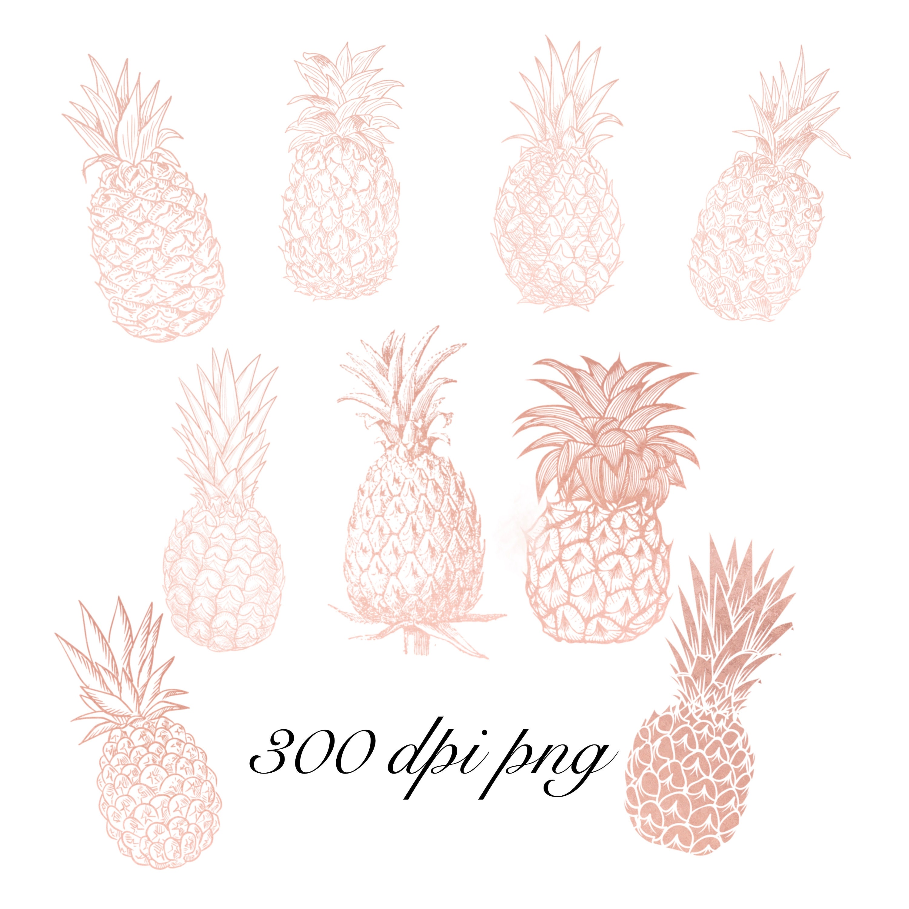 Craft Supplies & Tools Rose Gold Pineapple illustrations Clip art png ...