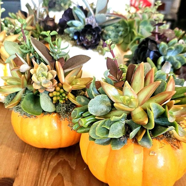 Fall Arrangement - Etsy