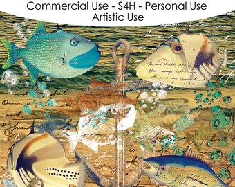 Vintage Sea Life Clip Art - Etsy