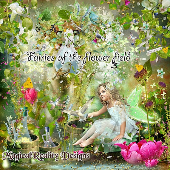 Fairies of the Flower Field PART 3 Digital - Etsy