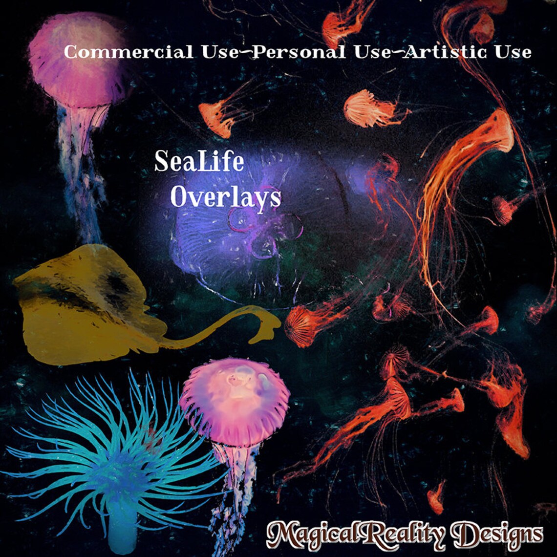 Sea Life Overlays {commercial Use} Digital Scrapbook - Photoshop ...