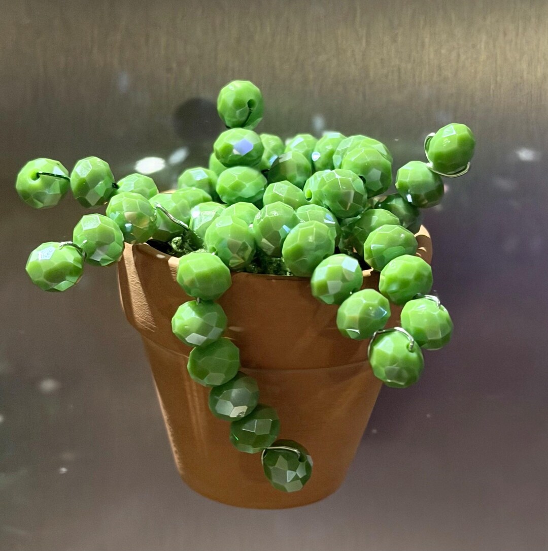 Succulent Fridge Magnet – Mini Beaded Plant in Terracotta Pot ...