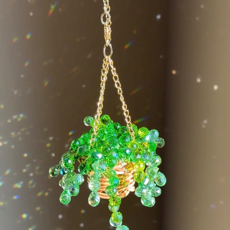 Succulent Sun Suncatcher - Etsy
