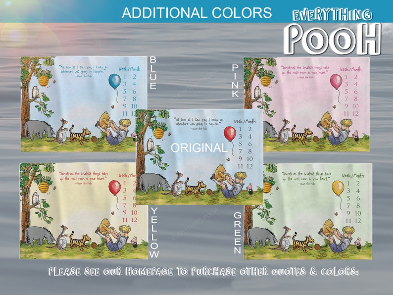 Winnie the Pooh MILESTONE BLANKET FRIENDS Orig Classic Pooh Quote ...