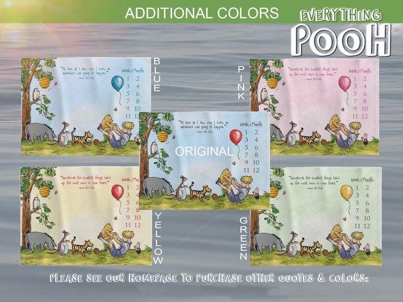 Winnie the Pooh MILESTONE BLANKET FRIENDS Green Classic Pooh Quote ...