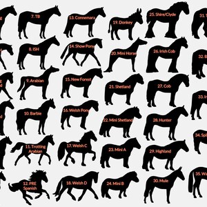 Stable Name Plate / Plaque Cut Out Traditional W/modern Twist Design ...
