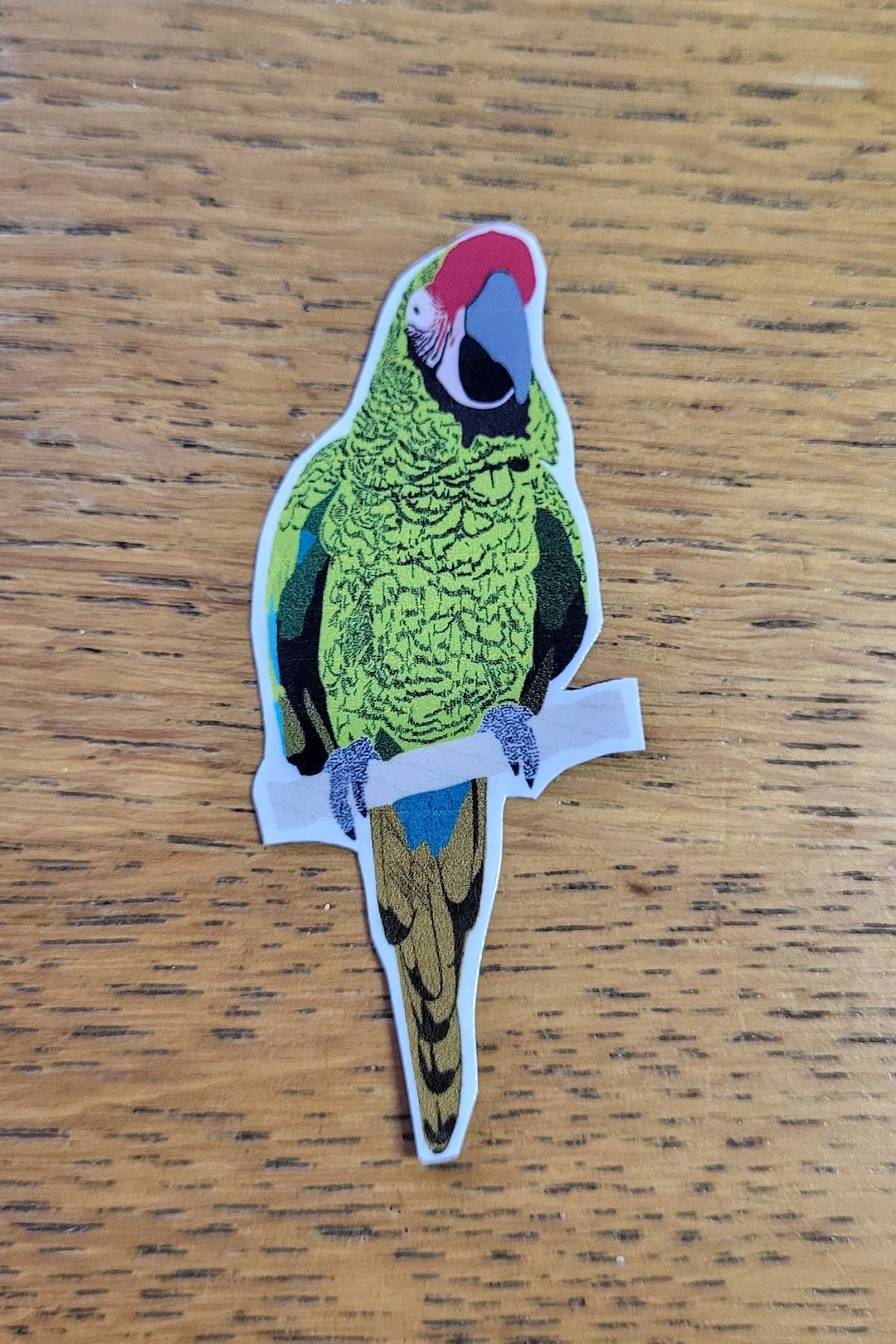 Military Macaw Handmade Sticker 2 - Etsy