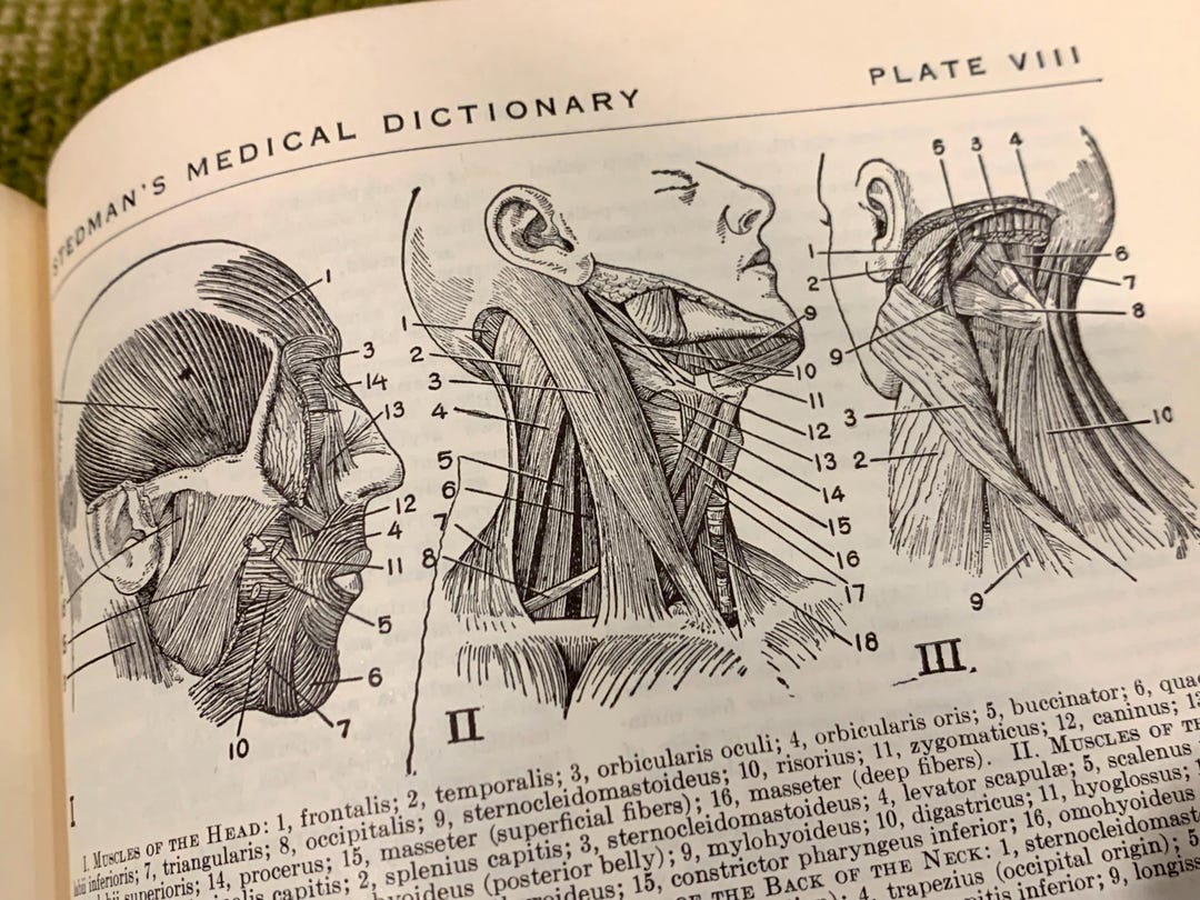 Vintage Stedman's Medical Dictionary 1953 Illustrated Eighteenth ...