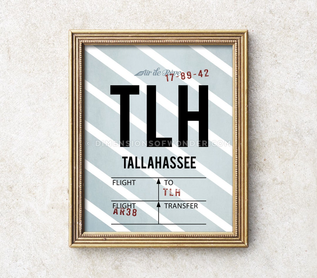 Florida Print, Airport Code Florida Print, TLH Vintage Style Luggage ...