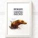 Crested Gecko Sign "beware of the Crested Gecko" Lizard Art Reptile ...