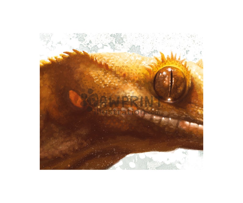 Crested Gecko sign Beware of the Crested Gecko | Etsy