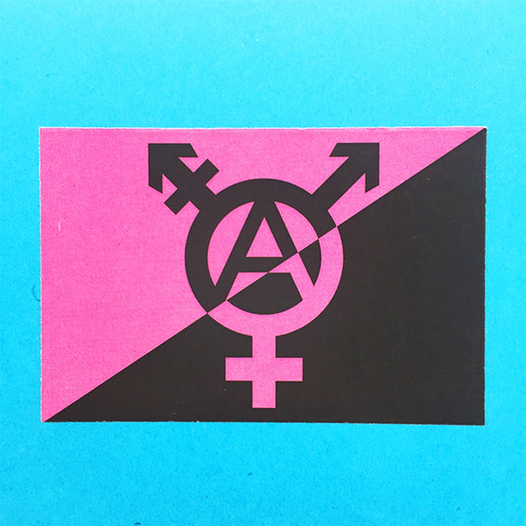Sticker Pack Trans Anarchy Punk Stickers Progressive Stickers Leftist ...