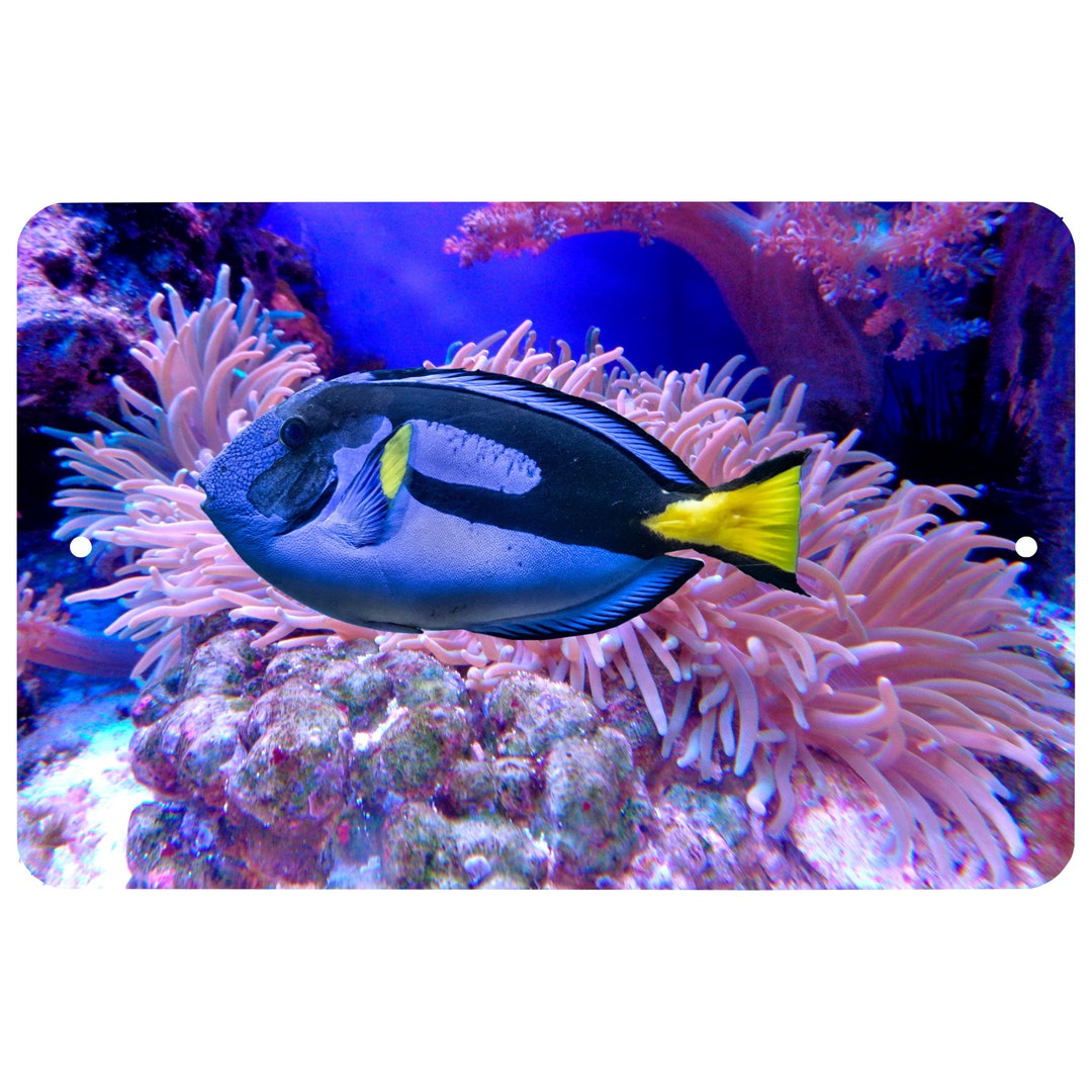 Blue Tang Metal Sign - Wall Decor - Aluminum Door Sign - Wall Metal ...