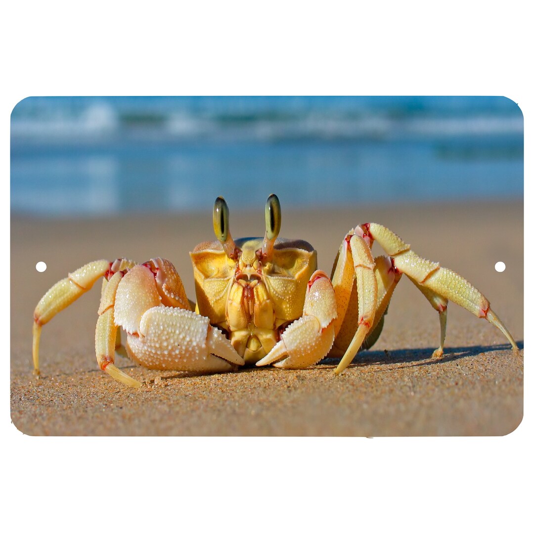 Golden Crab Metal Sign - Wall Decor - Aluminum Door Sign - Wall Metal ...