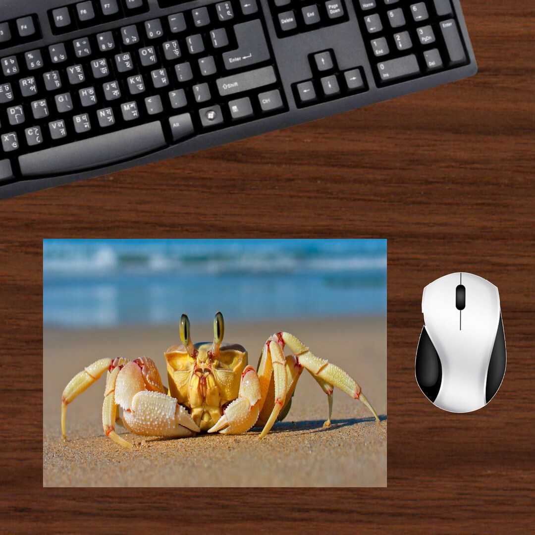 Golden Ghost Crab Mouse Pad - Caribbean Mousepad - Pirates - Beach ...